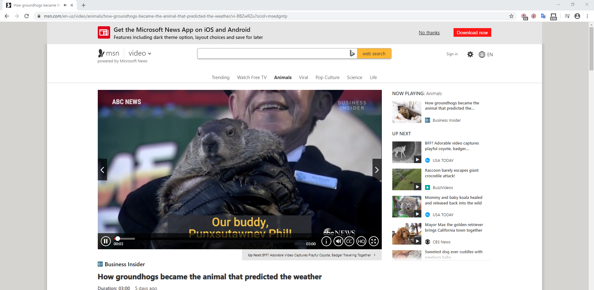 msn.com · Issue #2931 · NanoMeow/QuickReports · GitHub