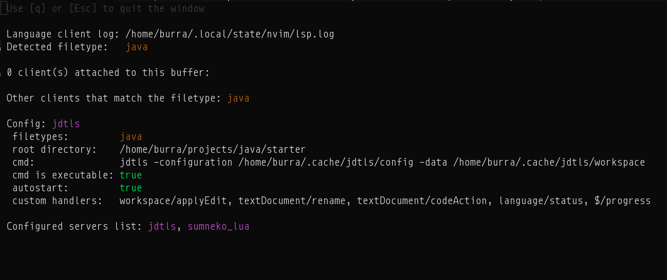 Java lsp (jdtls) not activating · Issue #1705 · NvChad/NvChad · GitHub