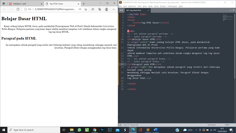 Github Andreas Rolando Lab1web
