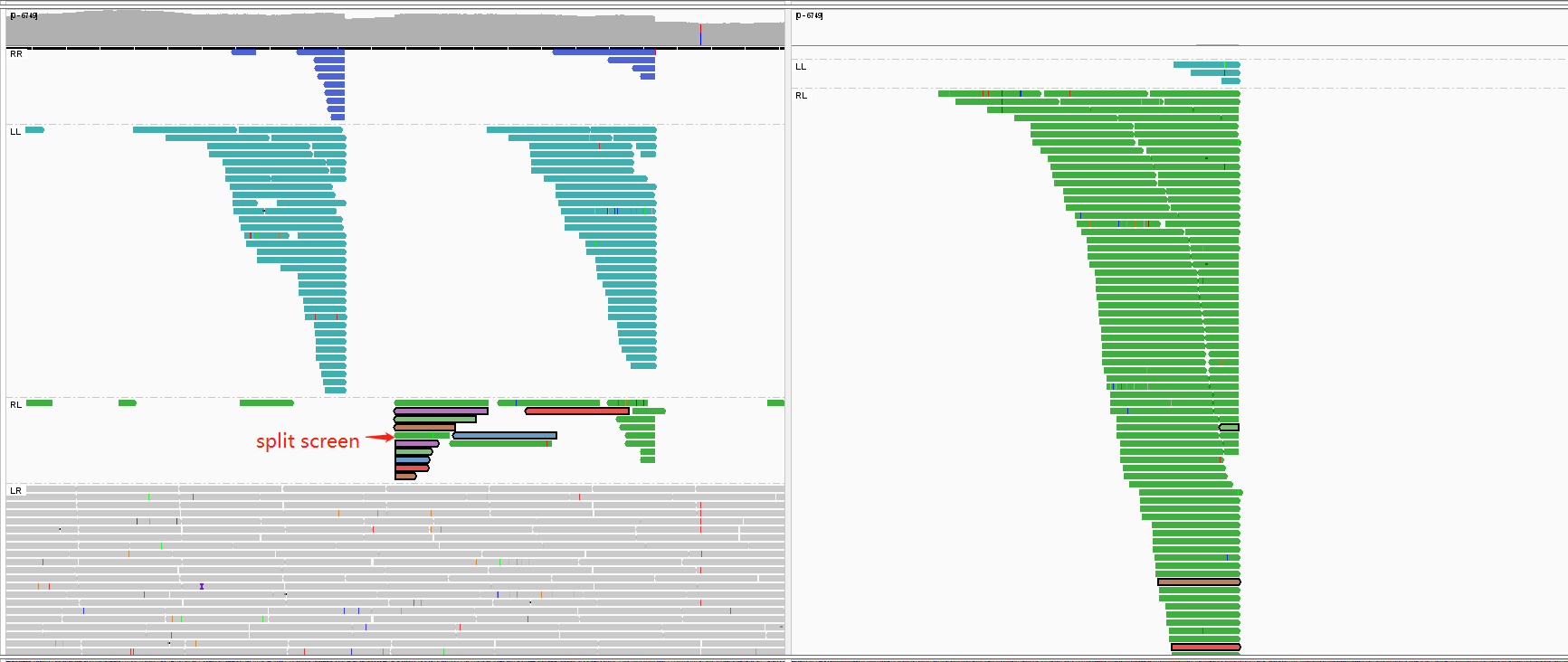 What is the best method to use IGV to view structural mutations？ · Issue #1383 · igvteam/igv ...