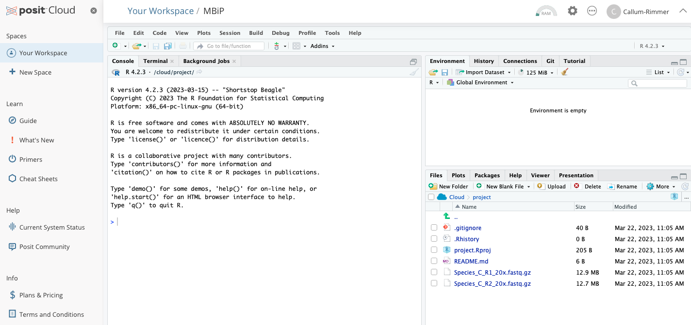 GitHub - Callum-Rimmer/MBiP