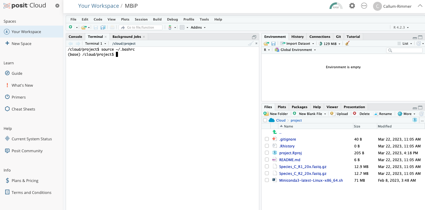 GitHub - Callum-Rimmer/MBiP