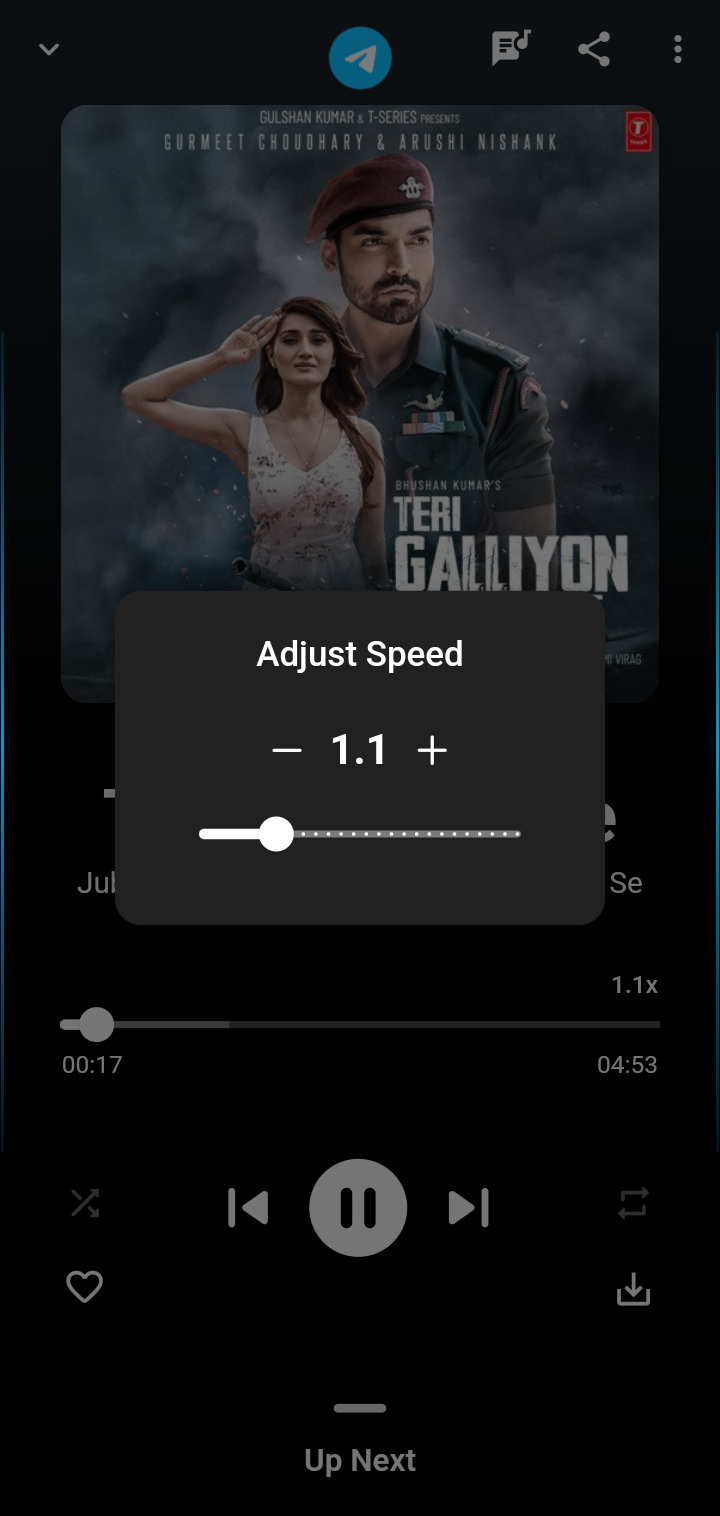 Playback speed · Issue #357 · vfsfitvnm/ViMusic · GitHub