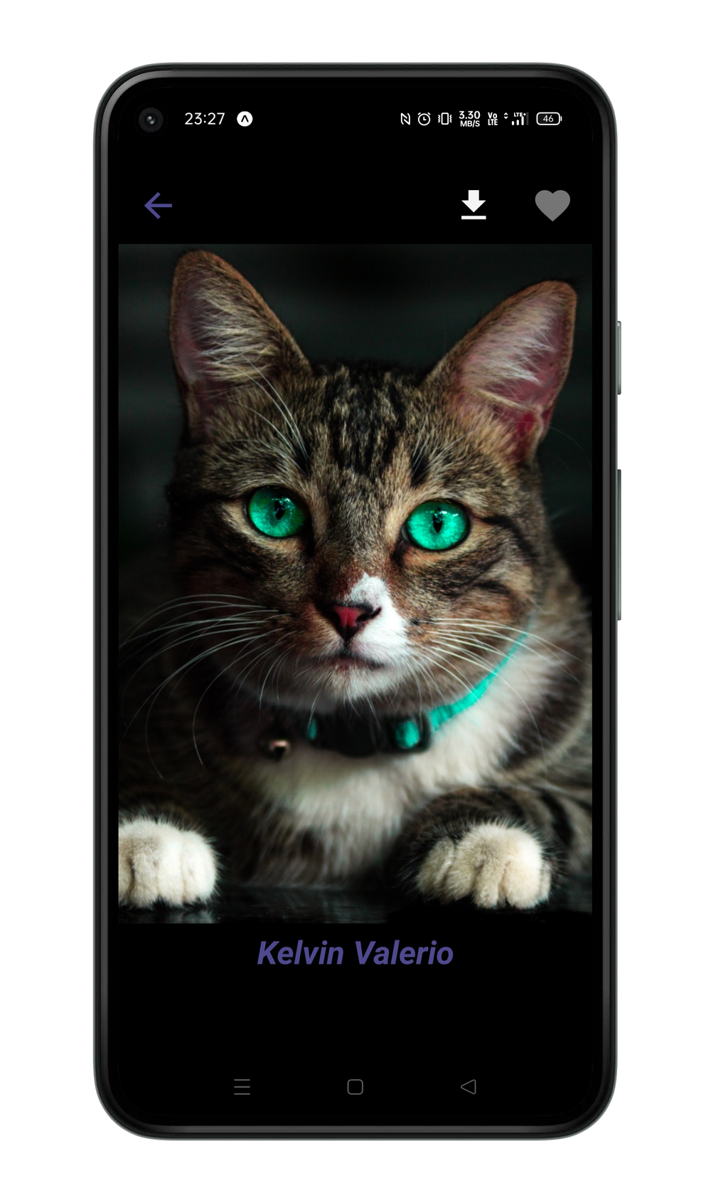 GitHub - magwrap/WallpapersApp: An app where you can go through photos from Pexels API.