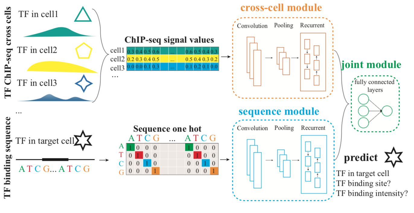 GitHub - CMACH508/DeepBSI