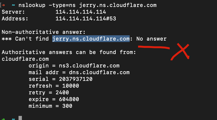 github custom domain not working bug · GitHub