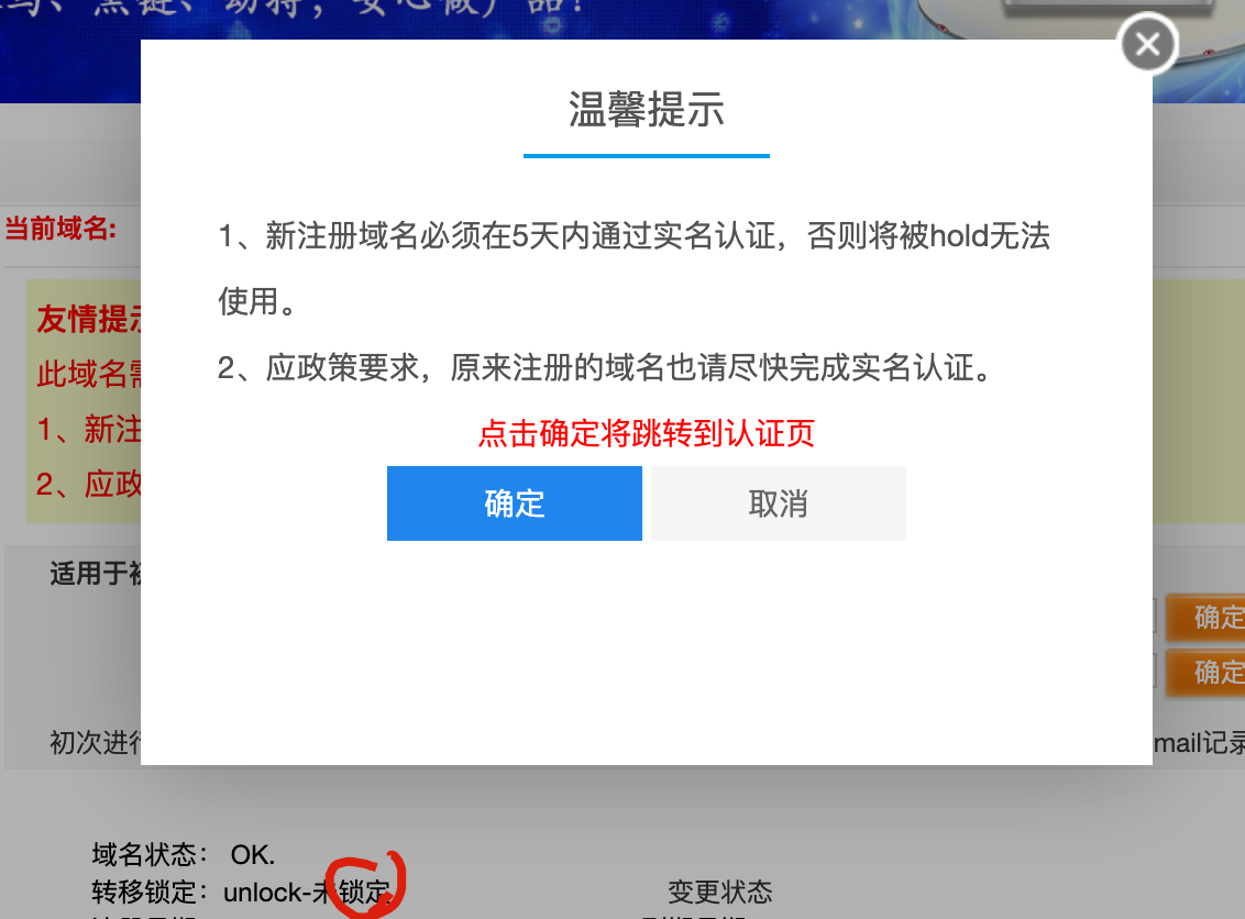 github custom domain not working bug · GitHub