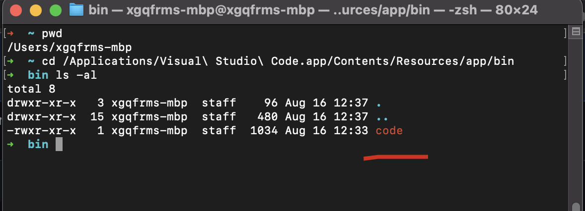 can not run code command arguments form the terminal after upgrade to ...