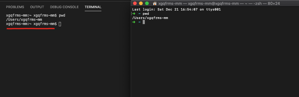 vscode terminal not auto hidden username hostname bug · Issue #87512 · microsoft/vscode · GitHub