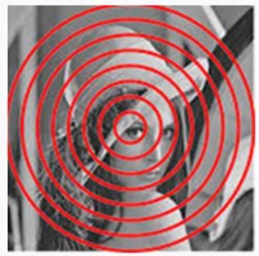 GitHub - ChoiSeongHo-h/Aligner: circuit alignment software with CUDA