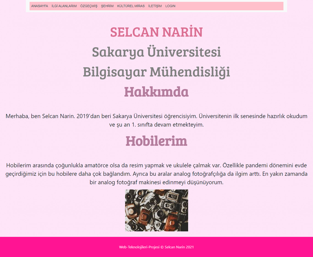 GitHub - selcannarin/PersonalWebsite