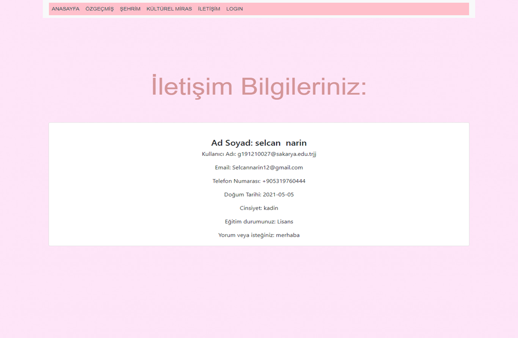 GitHub - selcannarin/PersonalWebsite