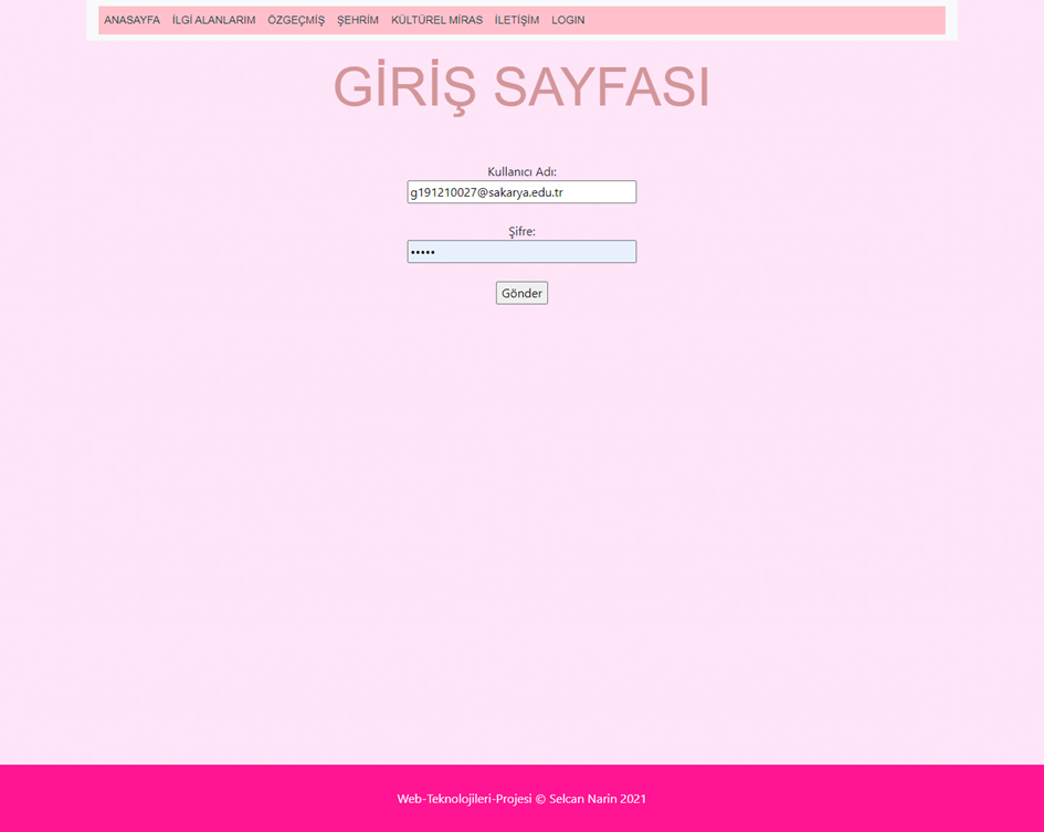 GitHub - selcannarin/PersonalWebsite