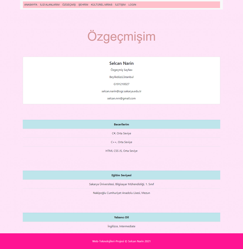 GitHub - selcannarin/PersonalWebsite