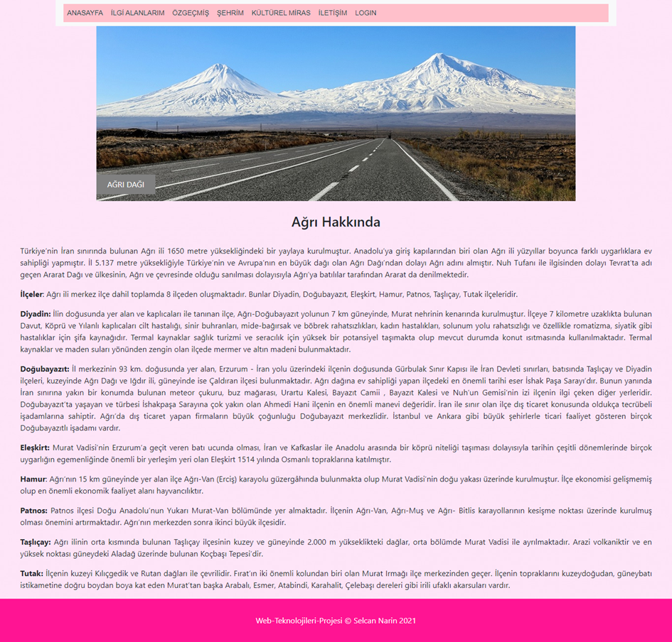 GitHub - selcannarin/PersonalWebsite