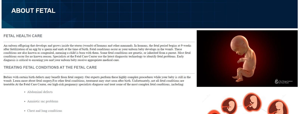 GitHub - PRIYADHARSHINI-star/FETAL_PROJECT: Data Privacy and Security project - CAT -1