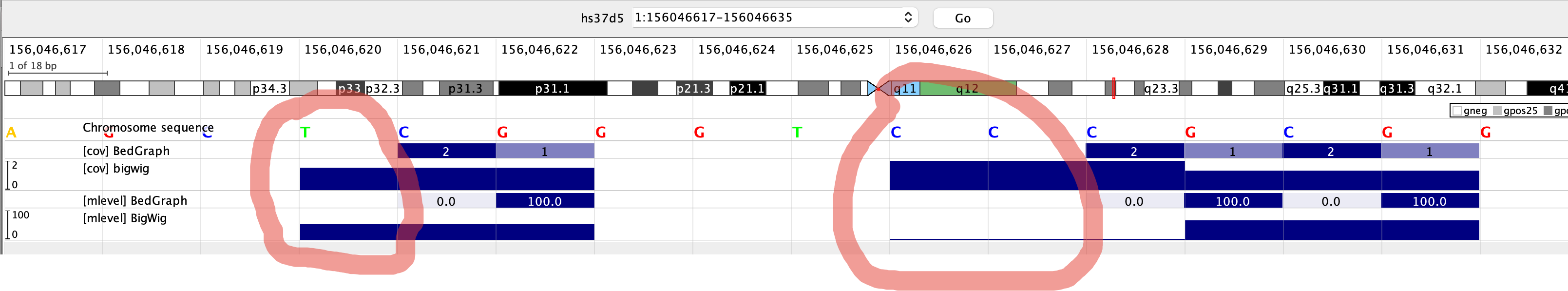 BigWig resolution lowering options may lead to confusing rendering at large zoom · Issue #139 ...