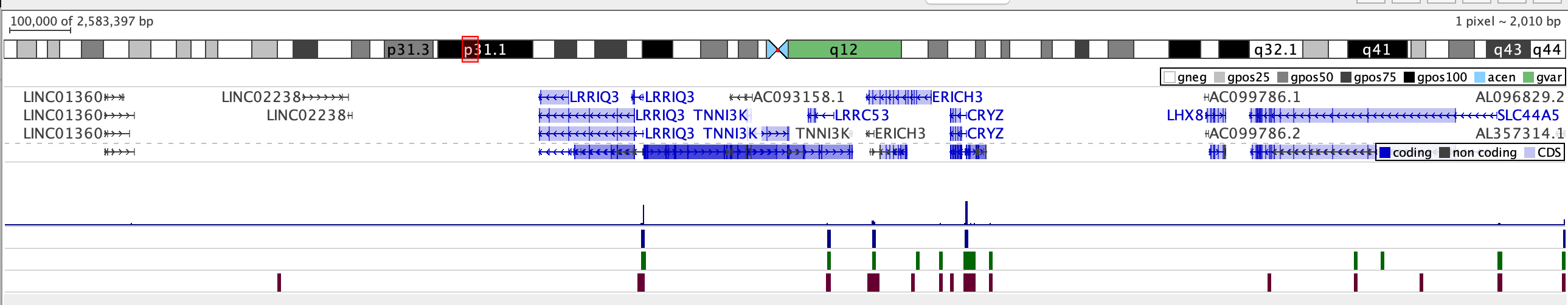 Genes track view - gene names blinking · Issue #56 · JetBrains-Research ...