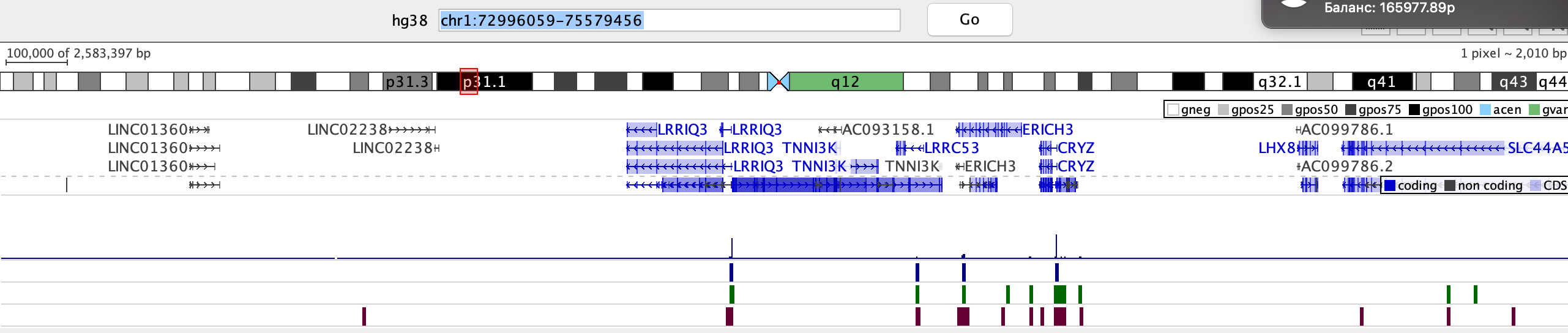 Genes track view - gene names blinking · Issue #56 · JetBrains-Research ...
