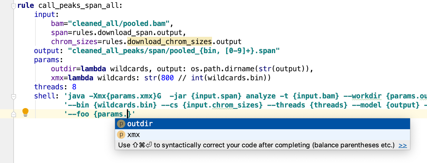 'shell' section: resolve & completion for `params` args · Issue #43 · JetBrains-Research ...