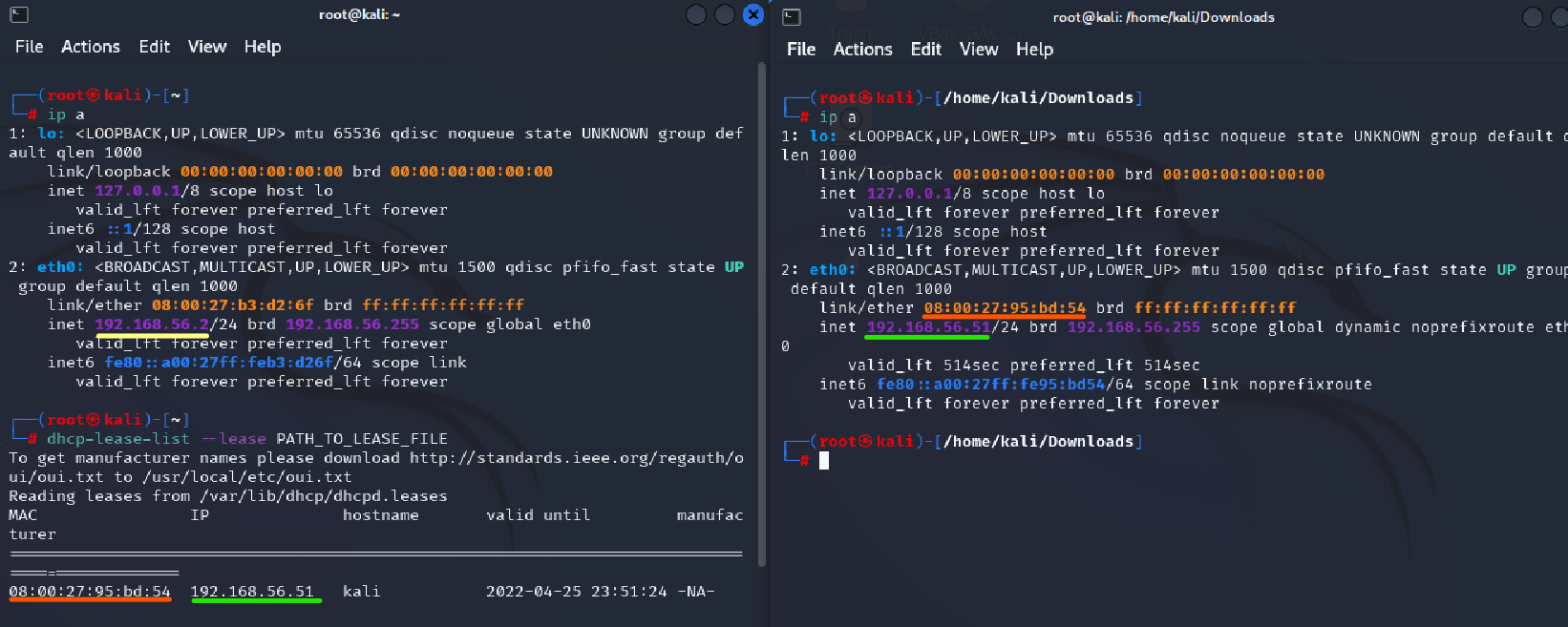 GitHub - razshely/DHCP-Starvation