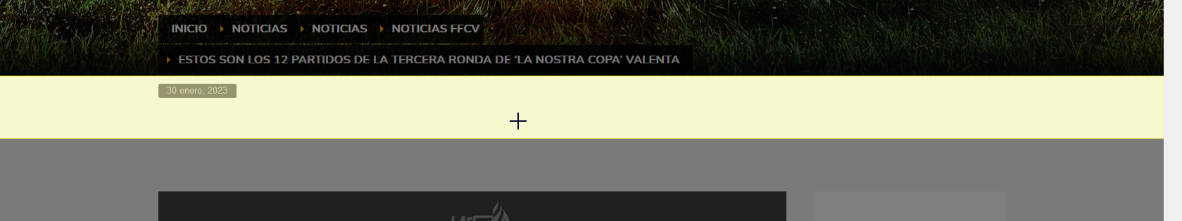 ffcv.es · Issue #295 · easylist/easylistspanish · GitHub