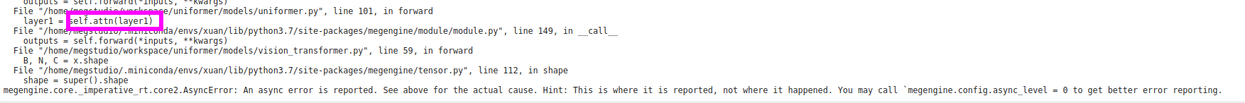 [BUG Issue] tensor.shape报错 · Issue #475 · MegEngine/MegEngine · GitHub