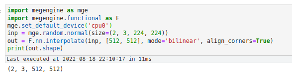 F.nn.interpolate py_apply expects tensor as inputs · Issue #477 · MegEngine/MegEngine · GitHub