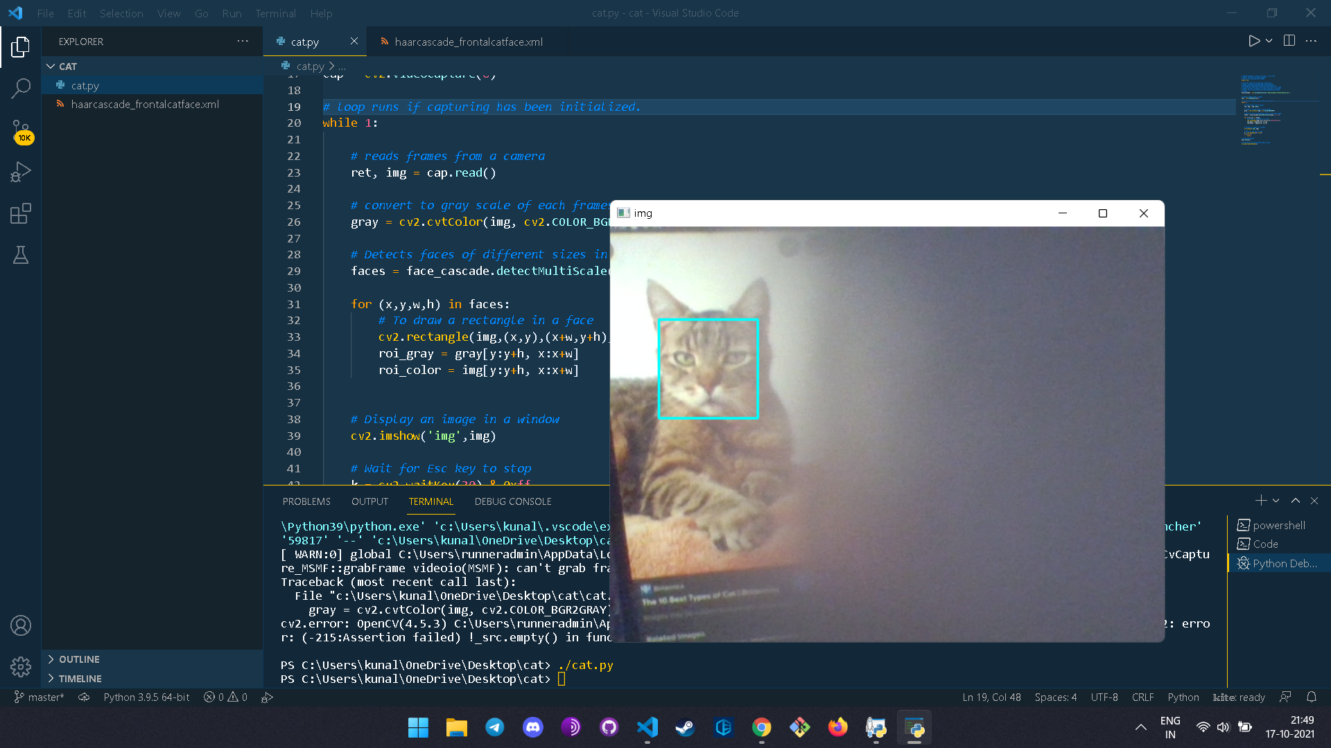 GitHub - kunalcodes007/cat-detection