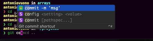 Problem with auto complete with git repositories · Issue #2623 · withfig/fig · GitHub