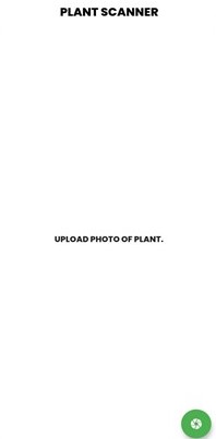 GitHub - NourAllaahh/Plant-disease-detection-CNN-Model: A plant disease ...