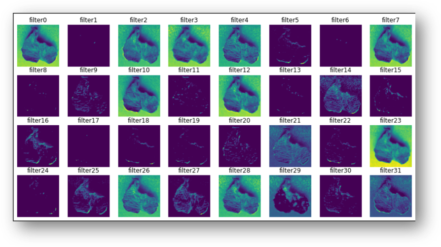 GitHub - NourAllaahh/Plant-disease-detection-CNN-Model: A plant disease ...