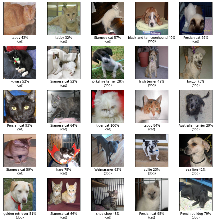 GitHub - PranshuPandya/dogvscat-classifier