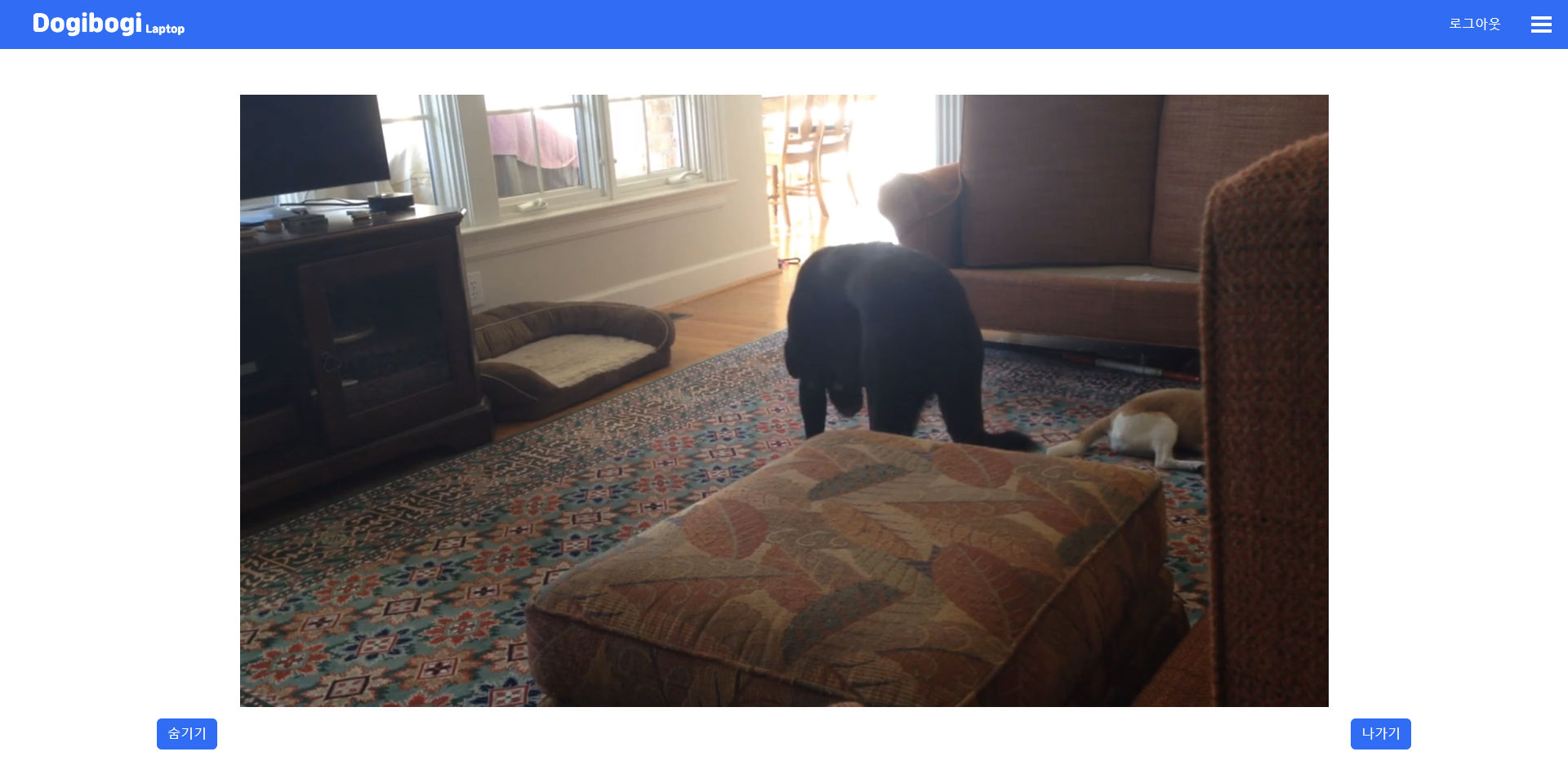 GitHub - 2022-2-KHU-CapstoneDesign/Dogibogi-laptop