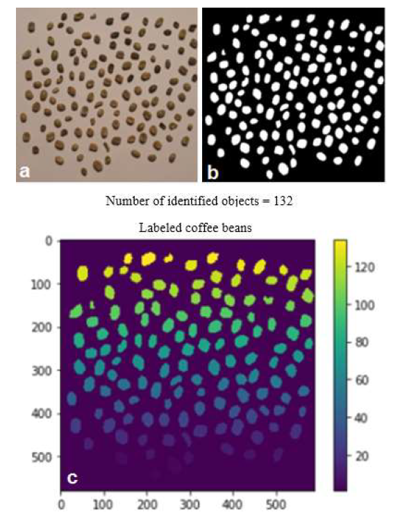 GitHub - FFLSantos/Quality-assessment-of-coffee-beans-through-computer ...