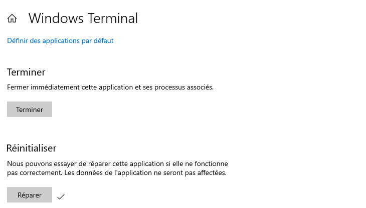 It doesn't launch · Issue #10061 · microsoft/terminal · GitHub