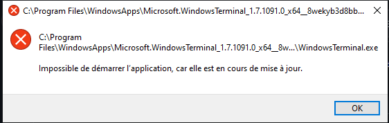 It doesn't launch · Issue #10061 · microsoft/terminal · GitHub