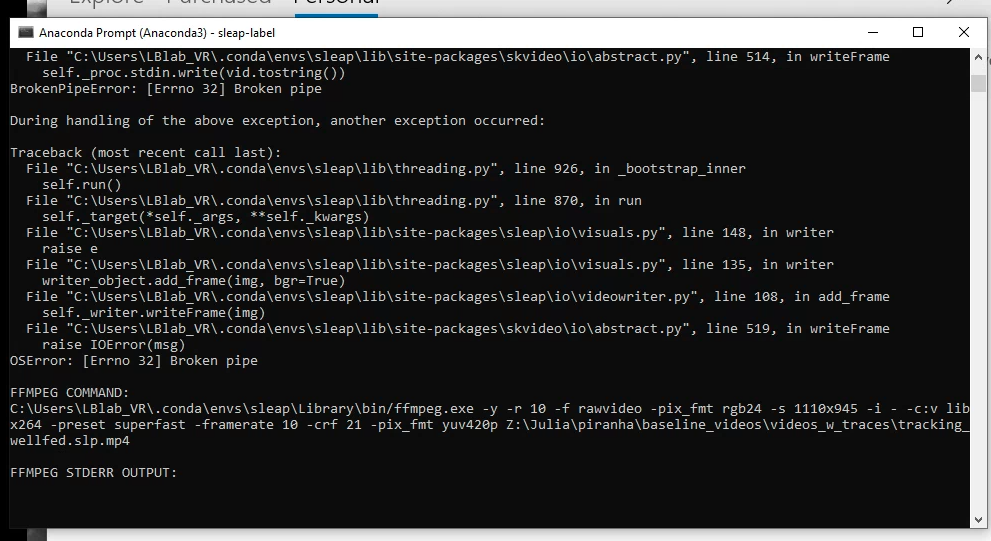 export the video with the tracked instances superposed · talmolab sleap · Discussion #937 · GitHub