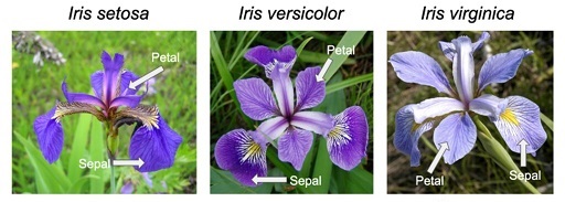 GitHub - LienNguyen2912/Deep-learning-for-multiclass-classification