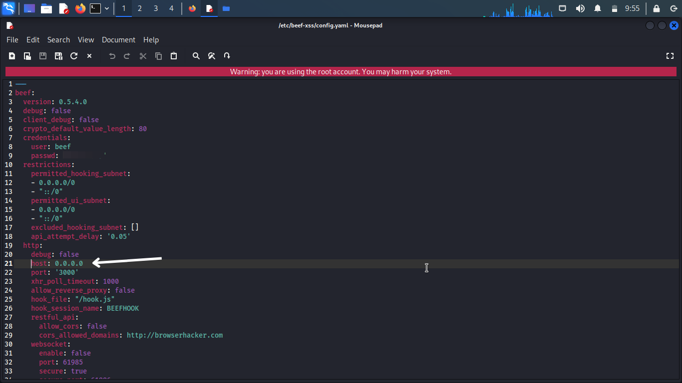 Need help with the setup of beEF with ngrok · Issue #2555 · beefproject ...