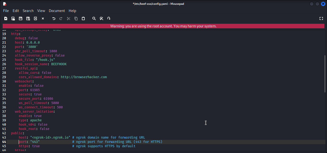 Need help with the setup of beEF with ngrok · Issue #2555 · beefproject/beef · GitHub