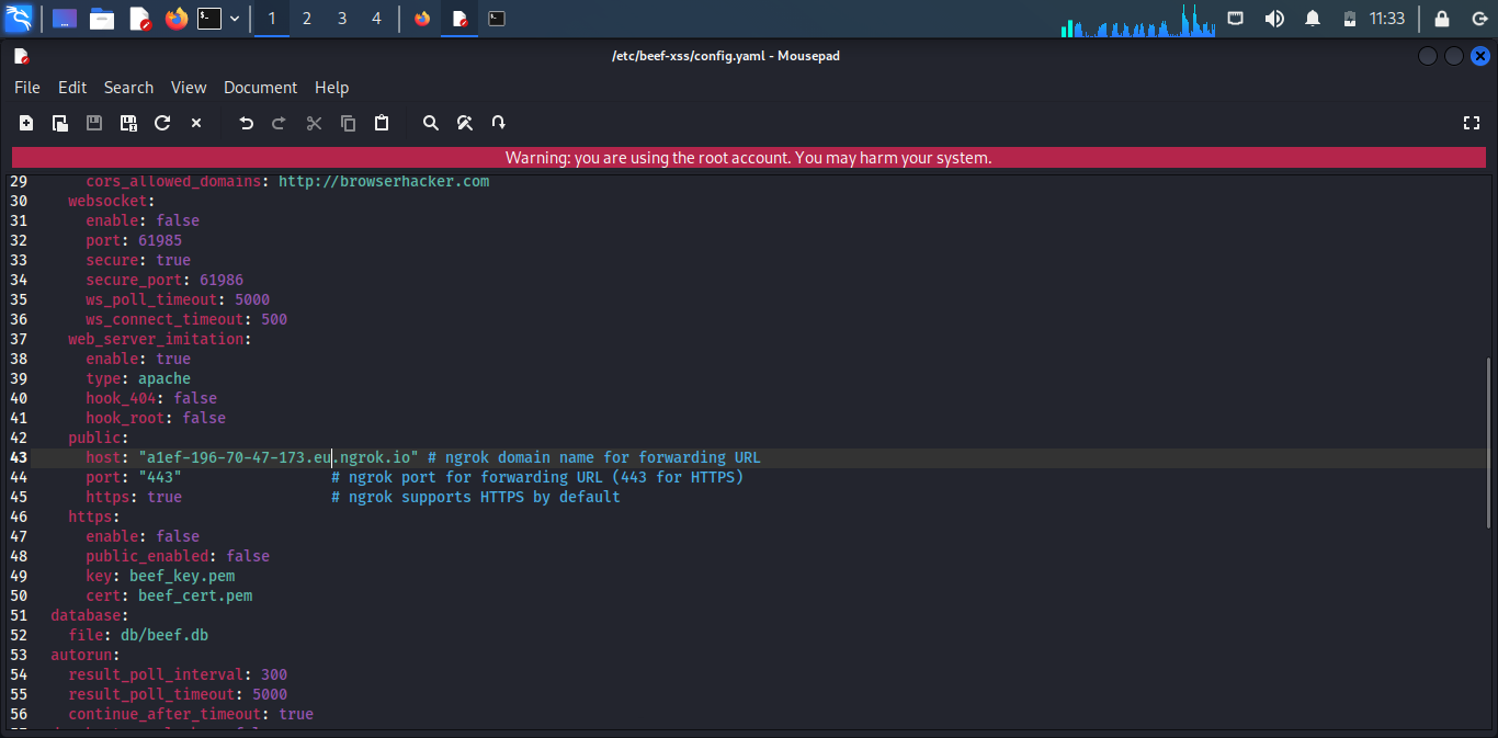 Need help with the setup of beEF with ngrok · Issue #2555 · beefproject/beef · GitHub