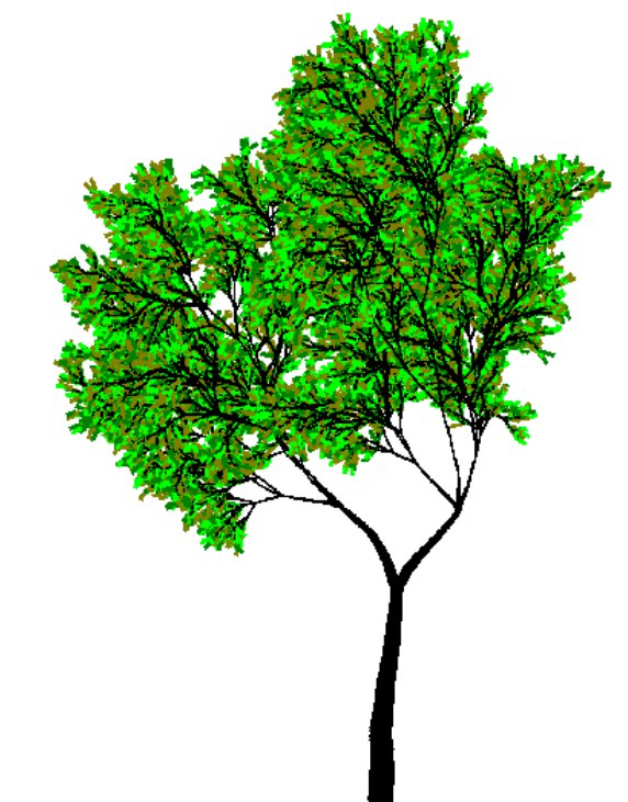 GitHub - VladislavWaza/DrawedTrees: An algorithm that draws trees ...