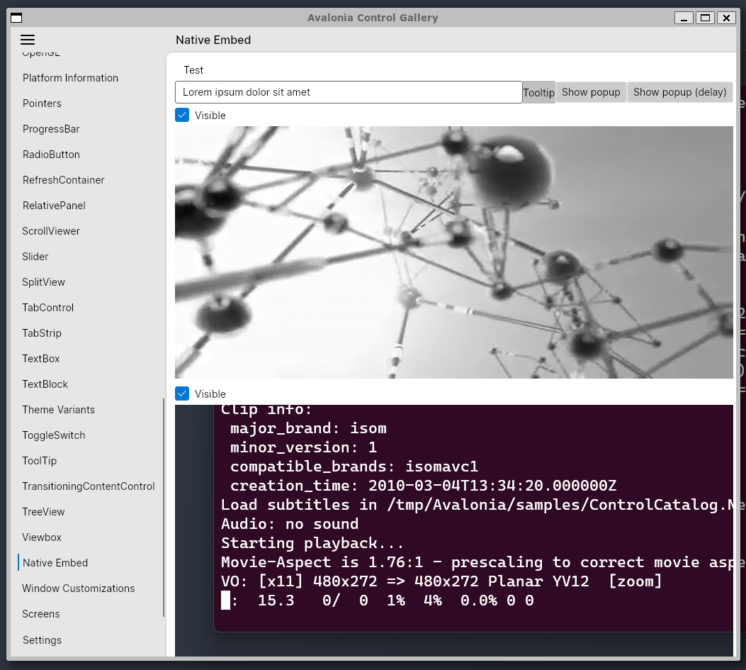 Native Embeds don't render in control on Linux · Issue #6124 · AvaloniaUI/Avalonia · GitHub