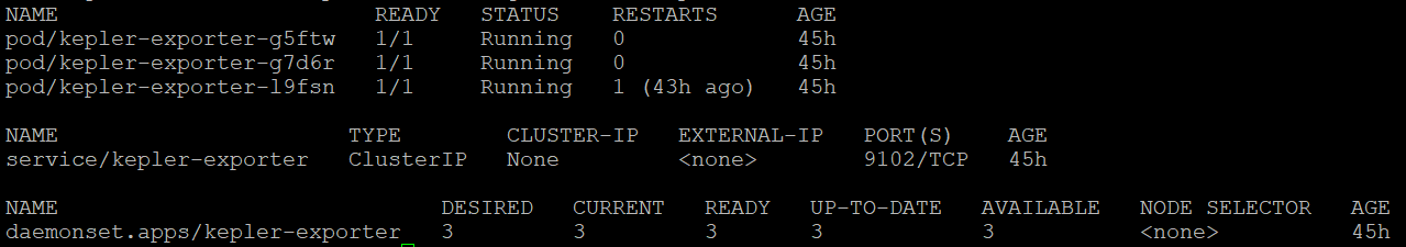 Metrics issue based on Kepler Exporter logs | Kepler helm chart installation on a Kind cluster ...