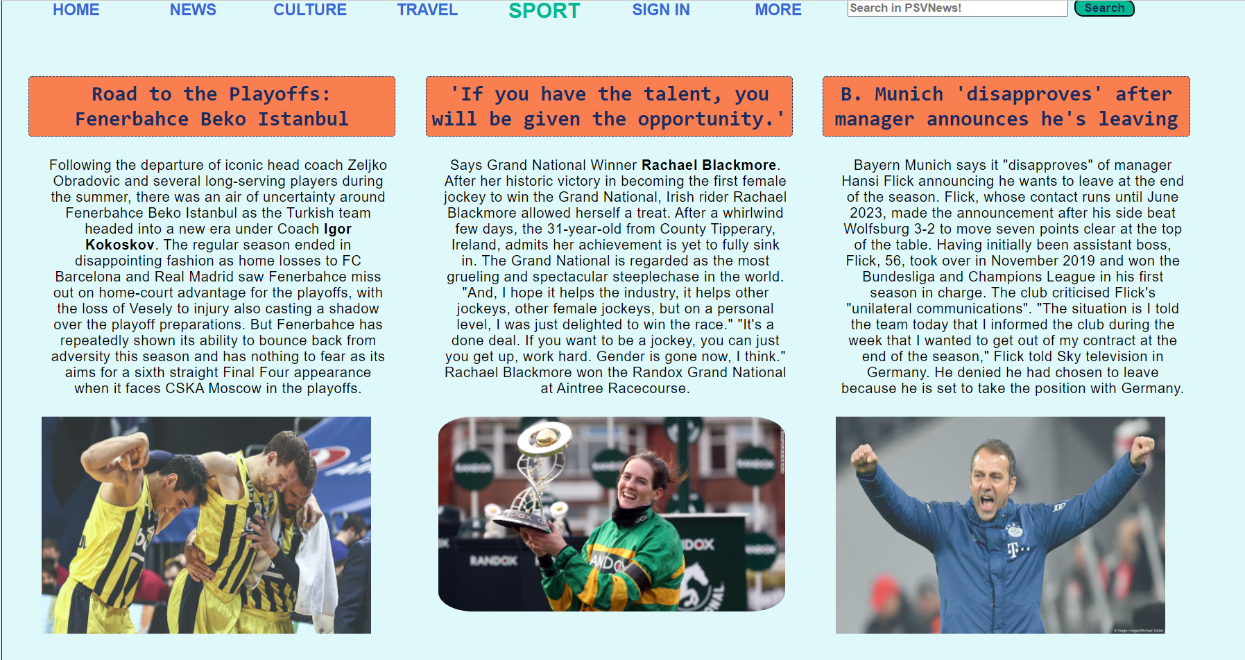 GitHub - pelinvarol/news-website