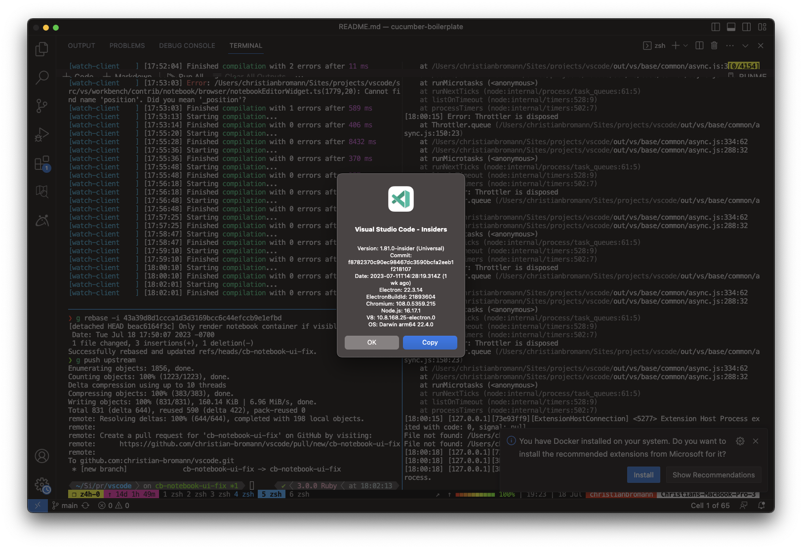 Integrated terminal maximized panel glitch with jupyter notebook · Issue #179671 · microsoft ...