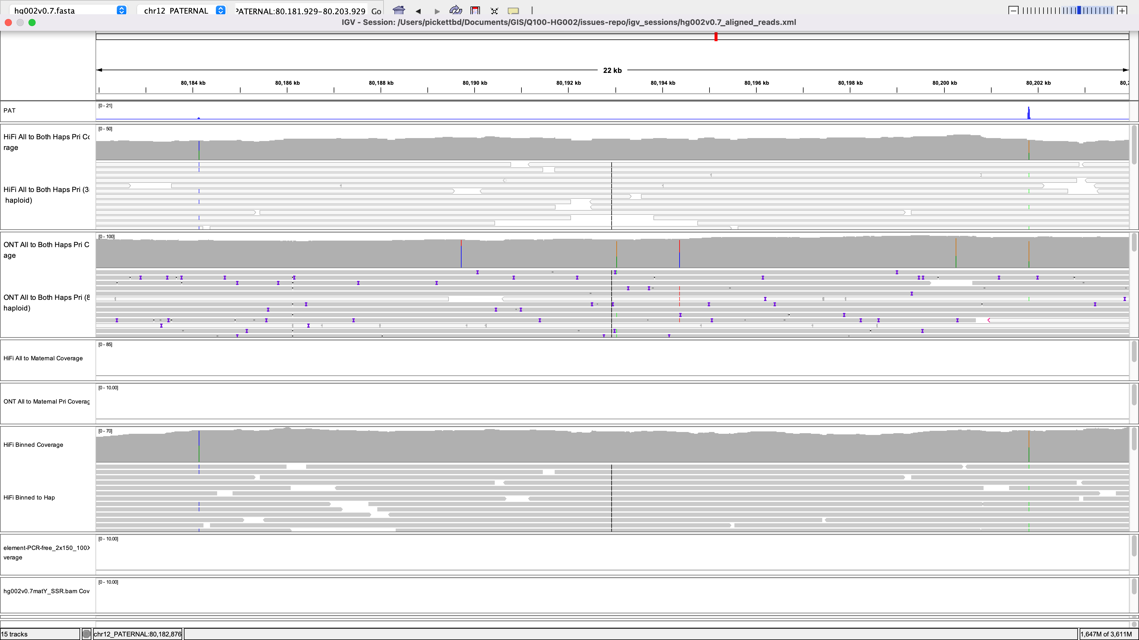 Issue: chr12_MATERNAL:80226830-80244525 · Issue #383 · marbl/HG002-issues · GitHub